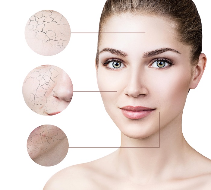 Structura pielii și importanța barierei cutanate — FARMEC